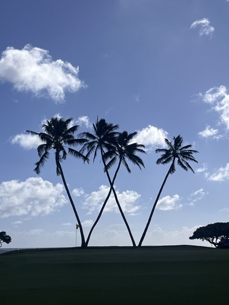 Sony Open in Hawaii 2026 🇯🇵日本人選手10人の活躍に期待します！ | makana.fm